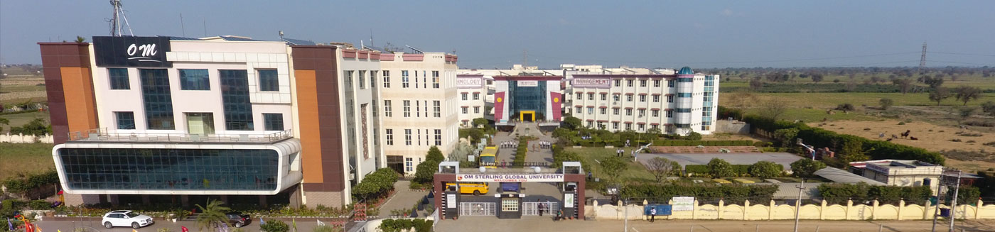 About Us | OM Sterling Global University, Hisar