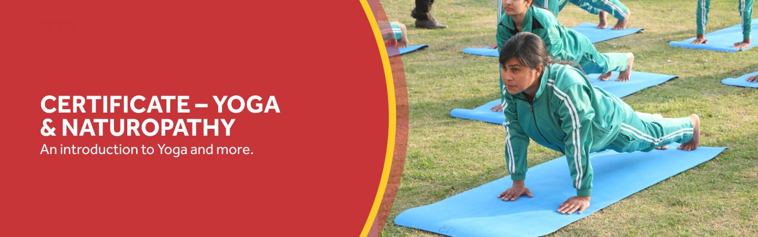Best Certificate in Yoga and Naturopathy Course in Haryana, India - OSGU