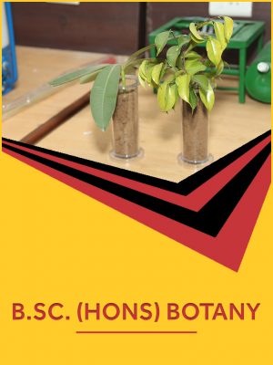 OSGU's B.Sc Honours Botany (Courses & Admissions) | Om Sterling Global ...