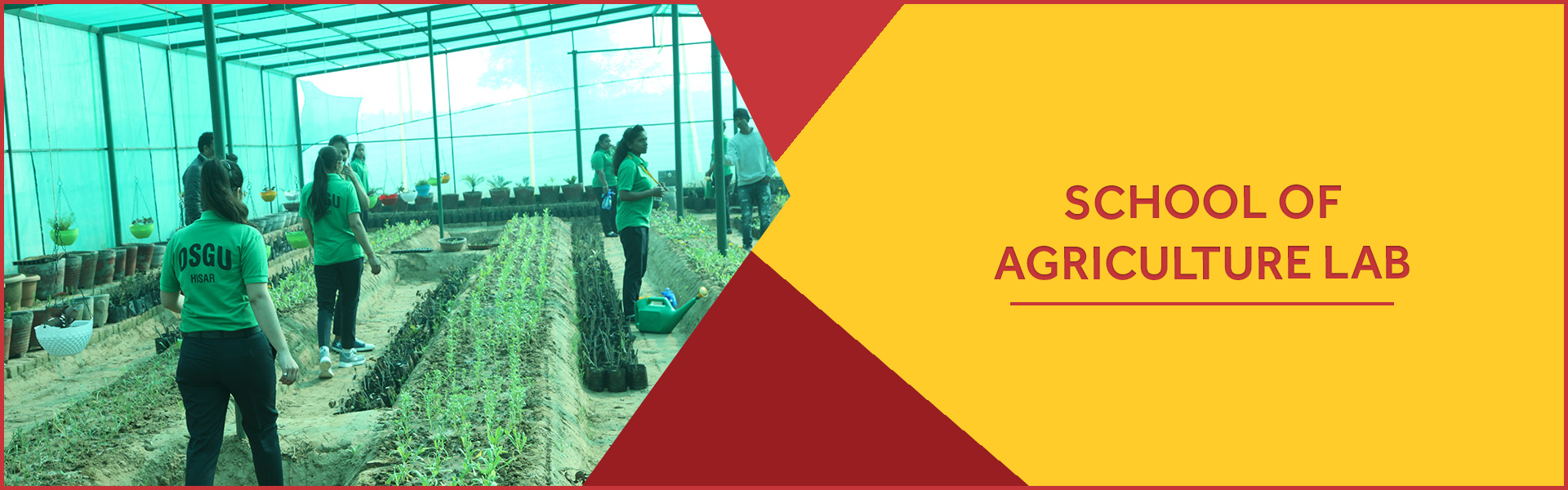 School Of Agriculture Lab - OM Sterling Global University