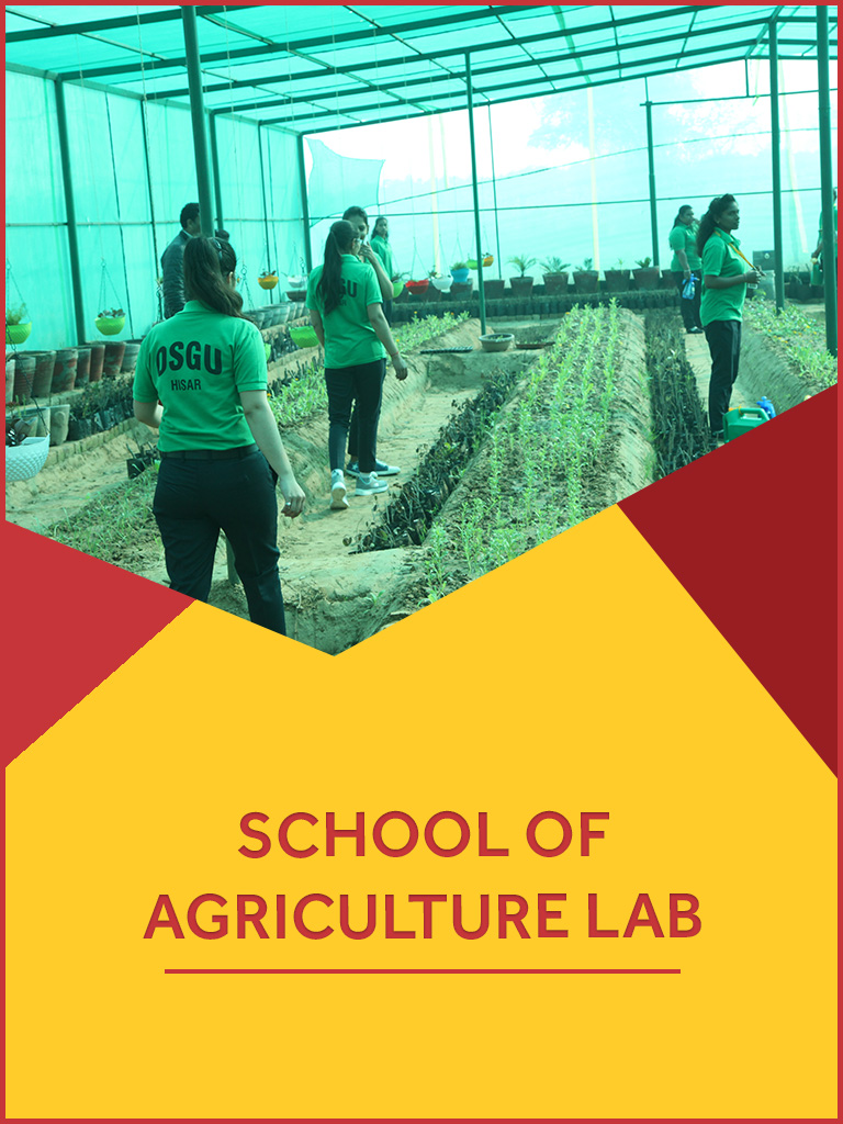 School Of Agriculture Lab - OM Sterling Global University