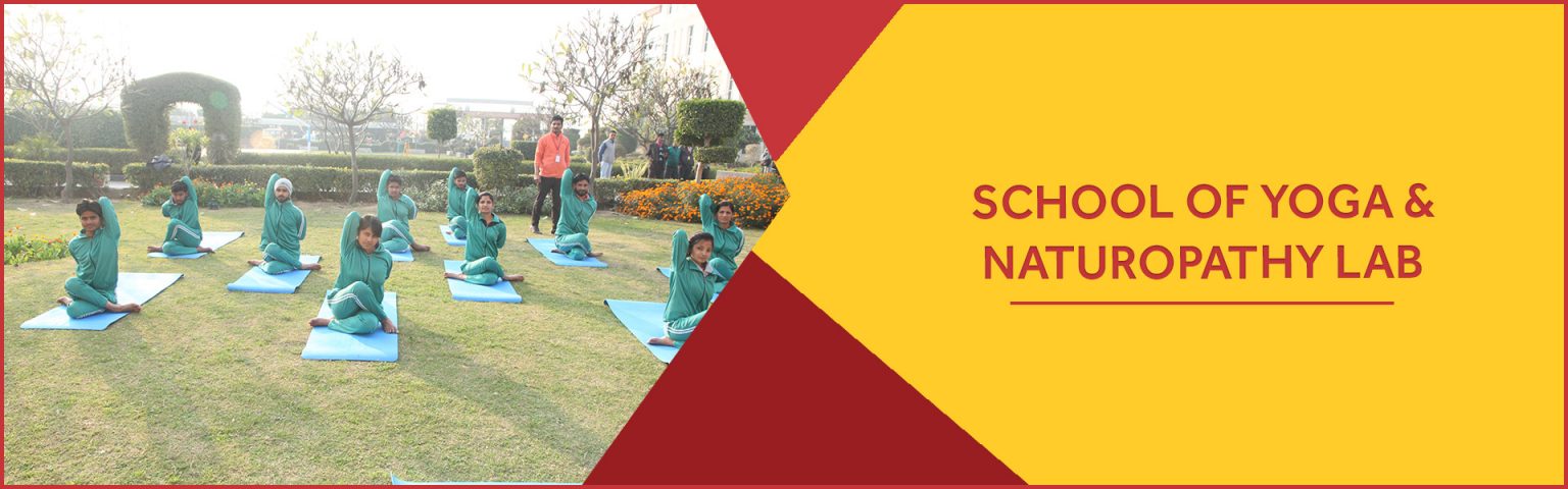 Best Yoga & Naturopathy Laboratories - Top University in India - OSGU