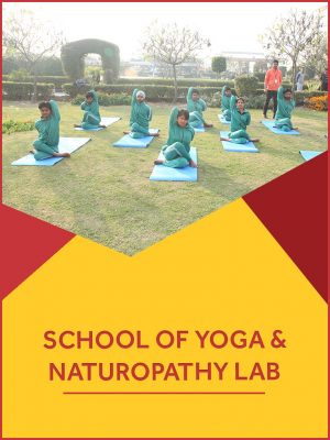 Best Yoga & Naturopathy Laboratories - Top University in India - OSGU