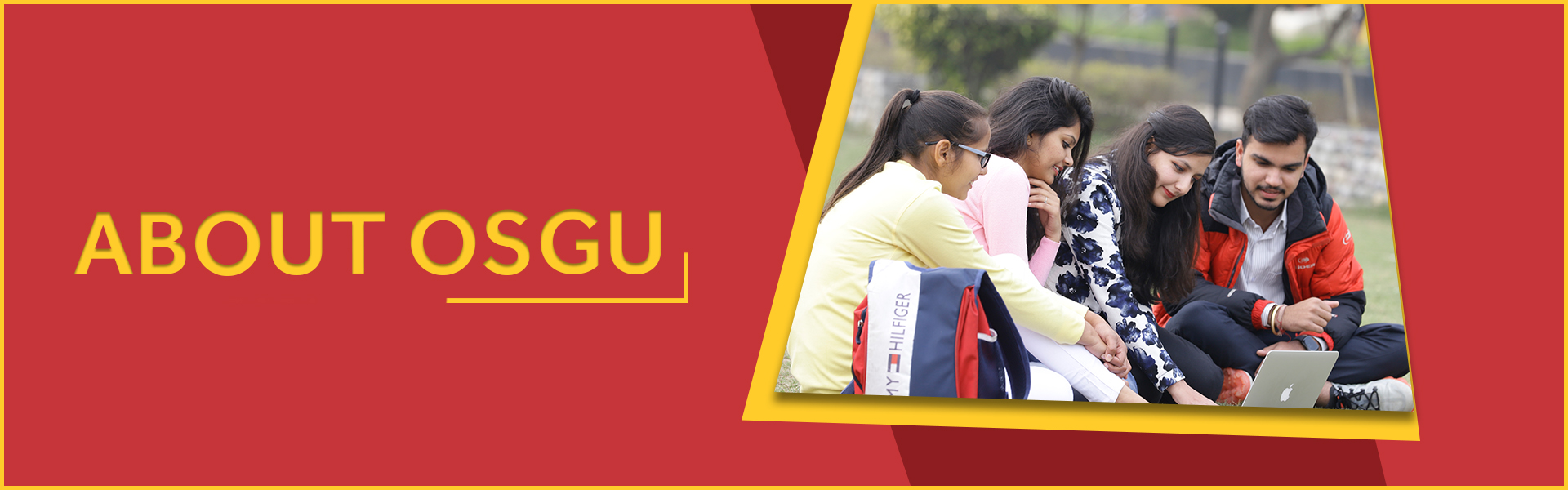 Top University in Haryana, India - OSGU